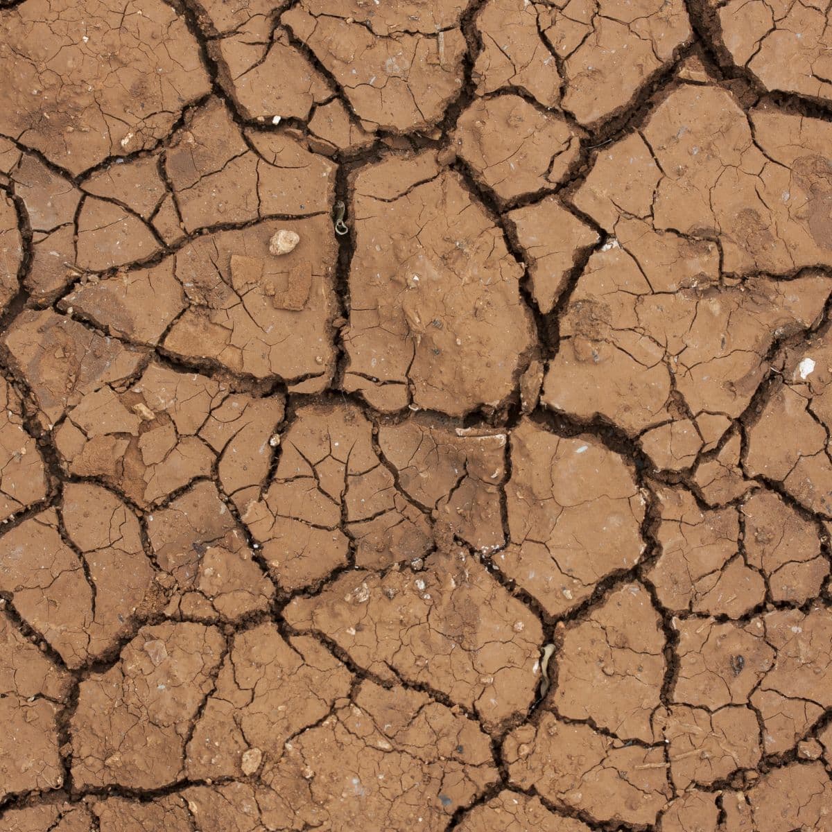 5 Ways Drought Conditions Affect Your Water Well - GeoWater Services, LLC