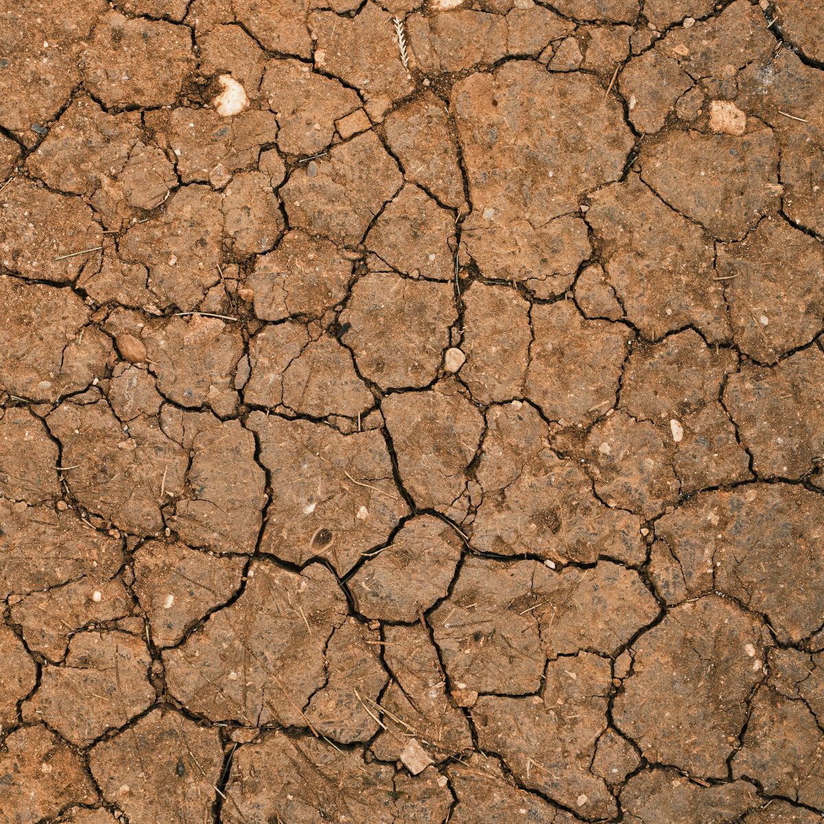 Has Your Water Well Dried Up? Look for These 5 Signs. - GeoWater ...
